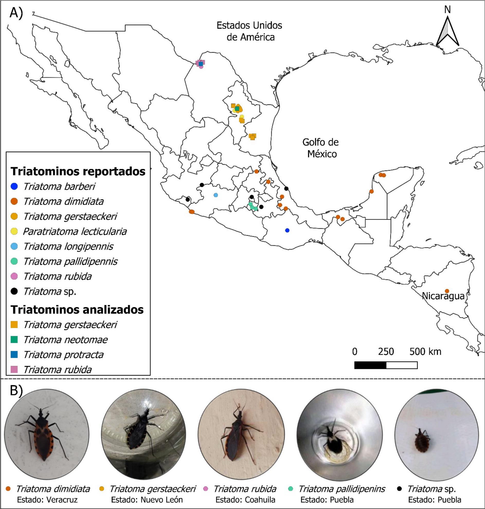 Pilot Program for the Passive Surveillance of Triatomines1 and ...
