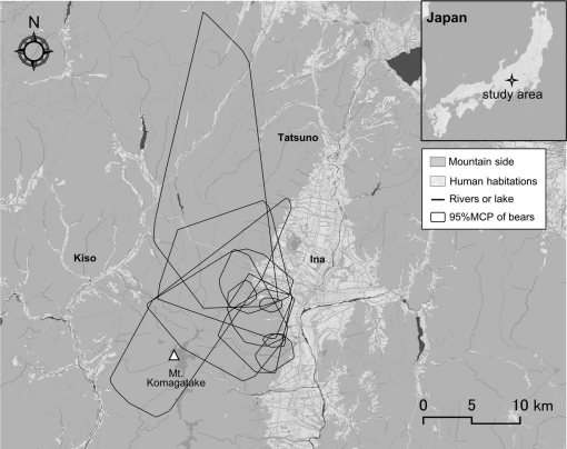 Bed-site selection of Asiatic black bears in the Central Alps, Japan