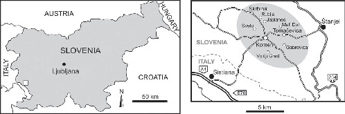 A New Species of Marine Ophidiomorph Lizard, Adriosaurus skrbinensis ...