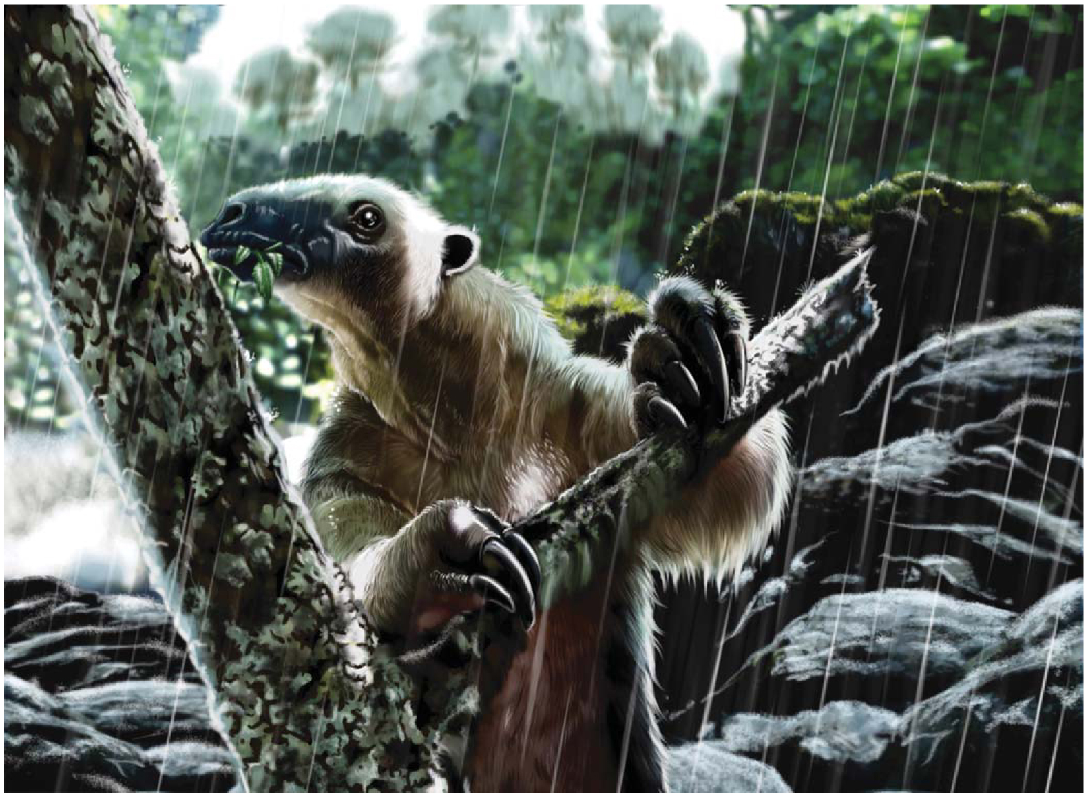 Hiskatherium saintandrei, gen. et sp. nov.: An Unusual Sloth from the ...