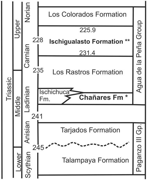 A New Proterochampsid Chanaresuchus ischigualastensis (Diapsida ...