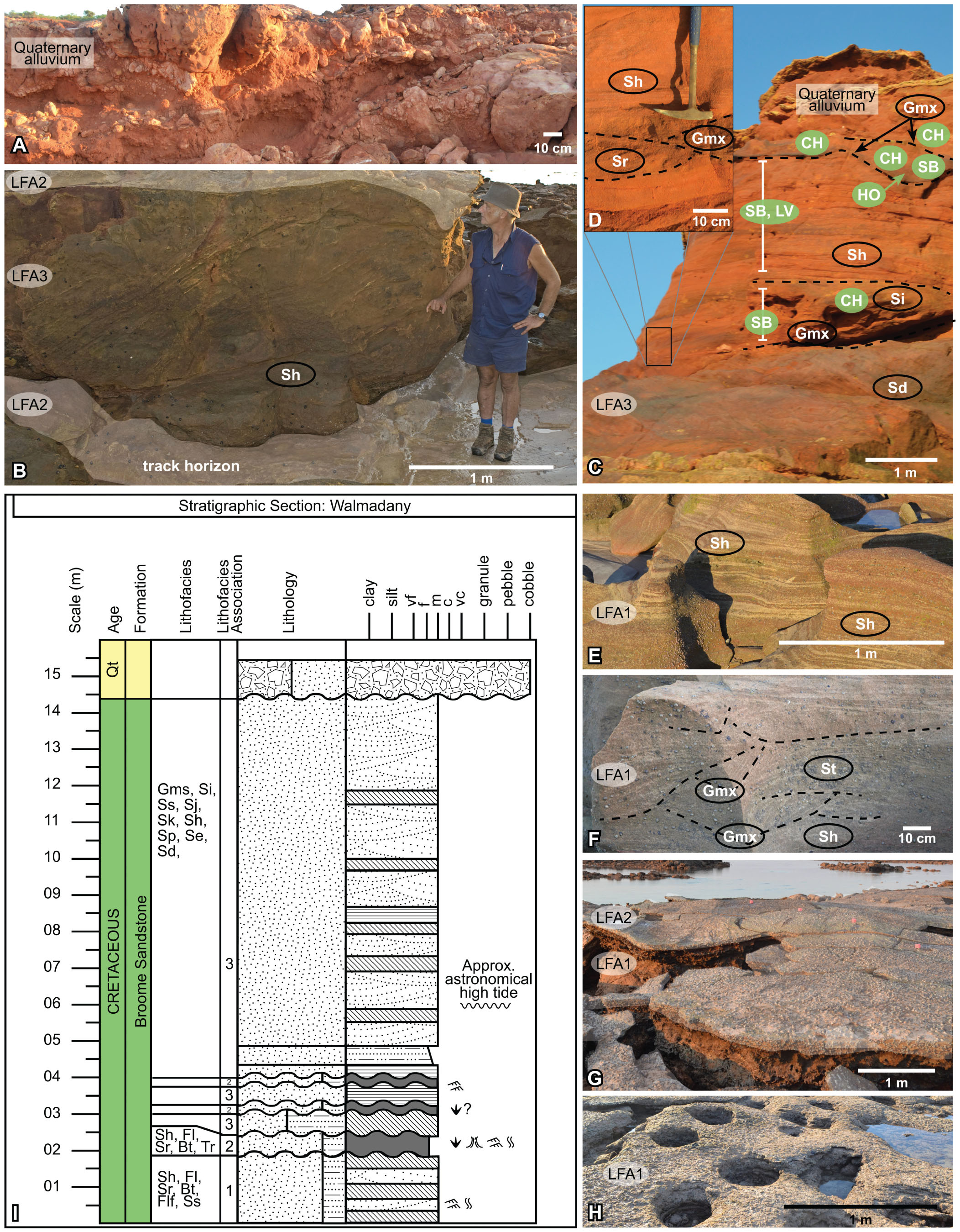 The Dinosaurian Ichnofauna of the Lower Cretaceous (Valanginian ...