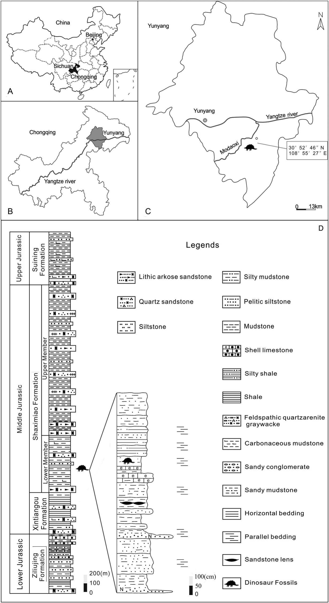 New Stegosaurs from the Middle Jurassic Lower Member of the Shaximiao ...