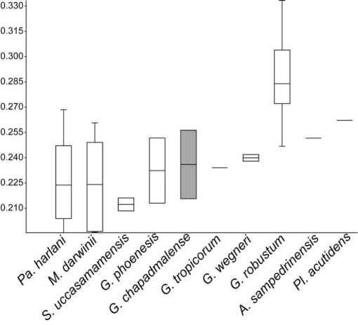 New Well-Preserved Materials of Glossotherium chapadmalense (Xenarthra ...