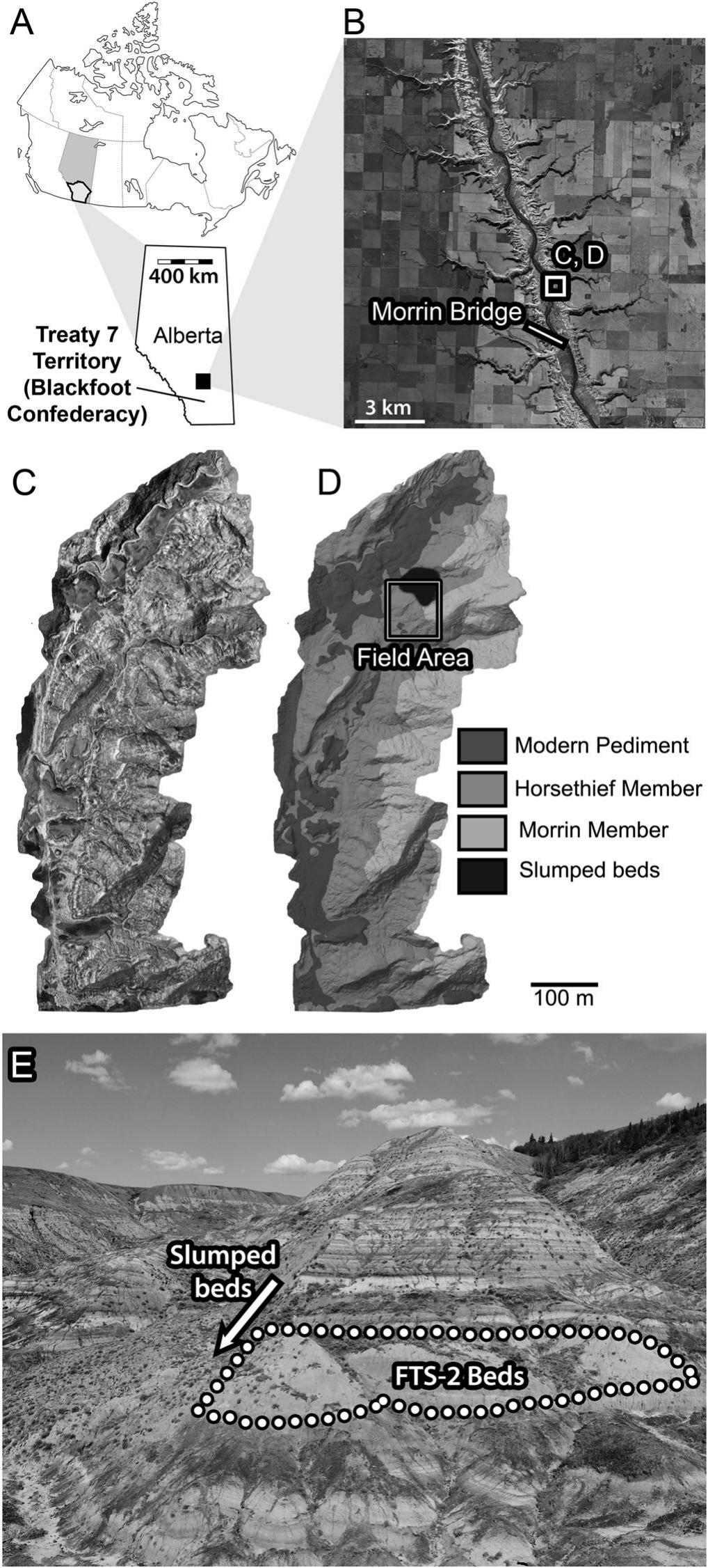 An Unusual Microsite from the Upper Cretaceous Horseshoe Canyon ...