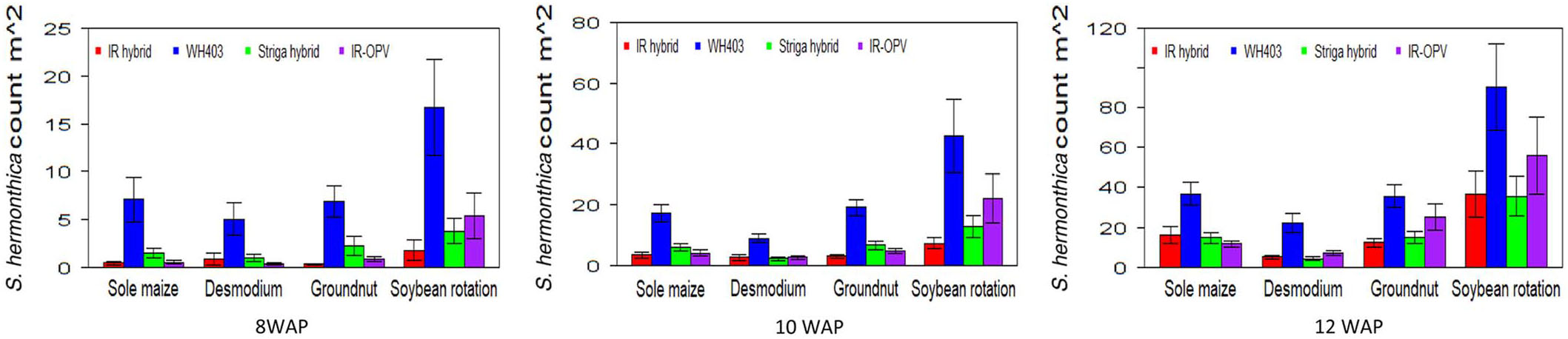 Assessment of Management Options on Striga Infestation and Maize Grain ...