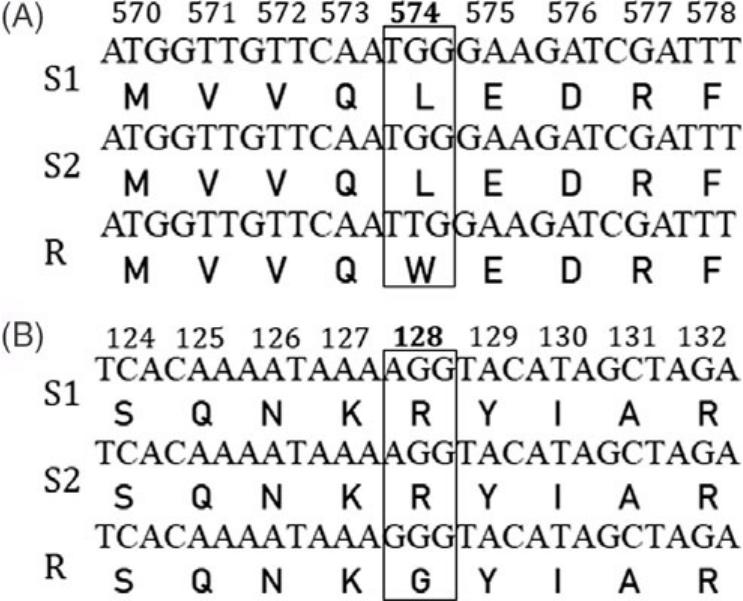 Target-Site Mutation and Enhanced Metabolism Confer Resistance to ...