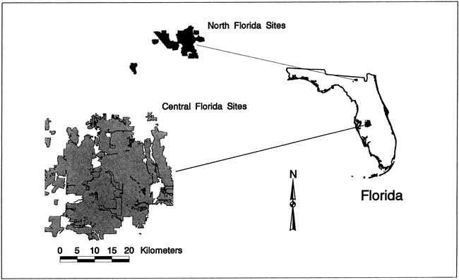 SOIL DEVELOPMENT IN PHOSPHATE-MINED CREATED WETLANDS OF FLORIDA, USA