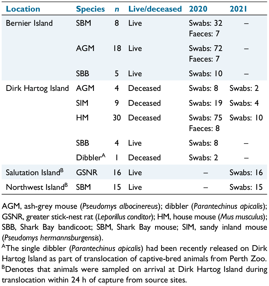 Chlamydia in wild Australian rodents: a cross-sectional study to inform ...
