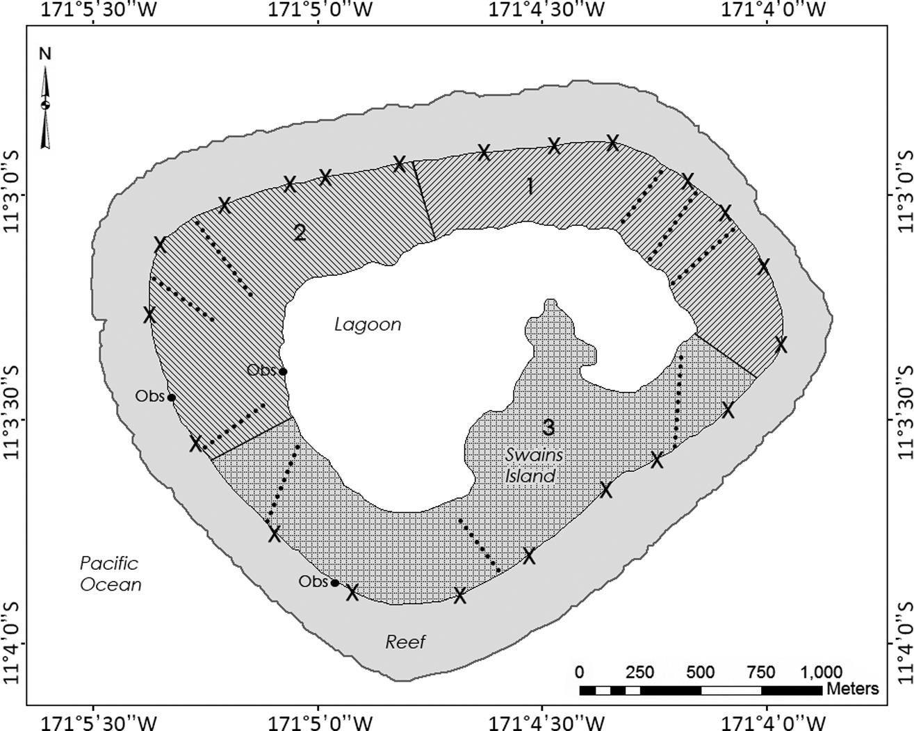 Assessment of the Birds of Swains Island, American Samoa