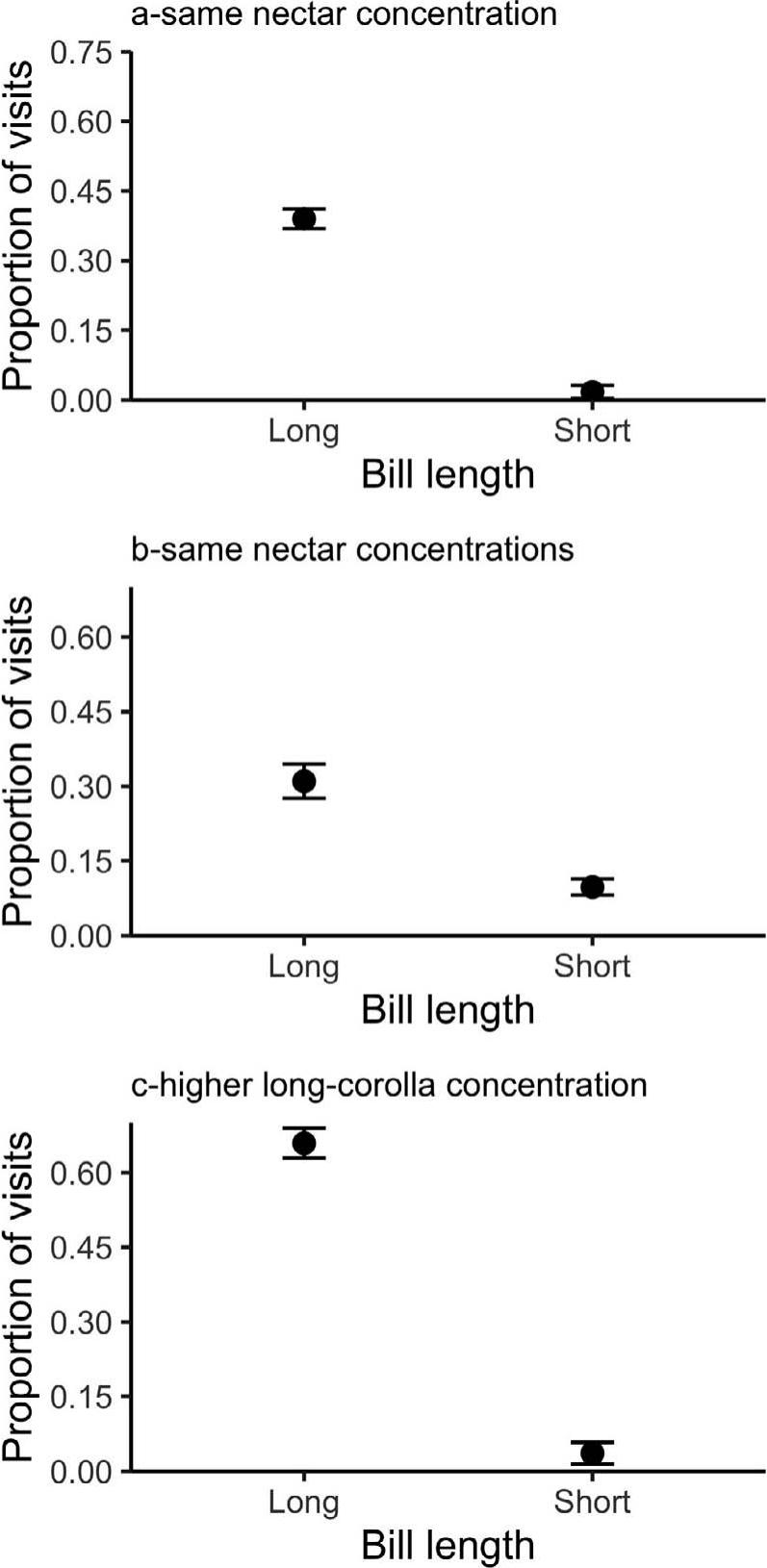 Hummingbird Bill Morphology Matched Flower Morphology when Long-Corolla ...