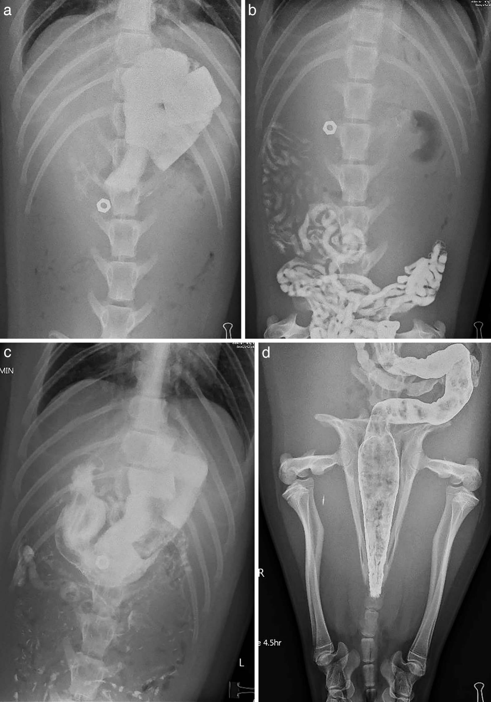 BARIUM SULFATE GELATIN AS A NOVEL APPROACH TO FACILITATE ...