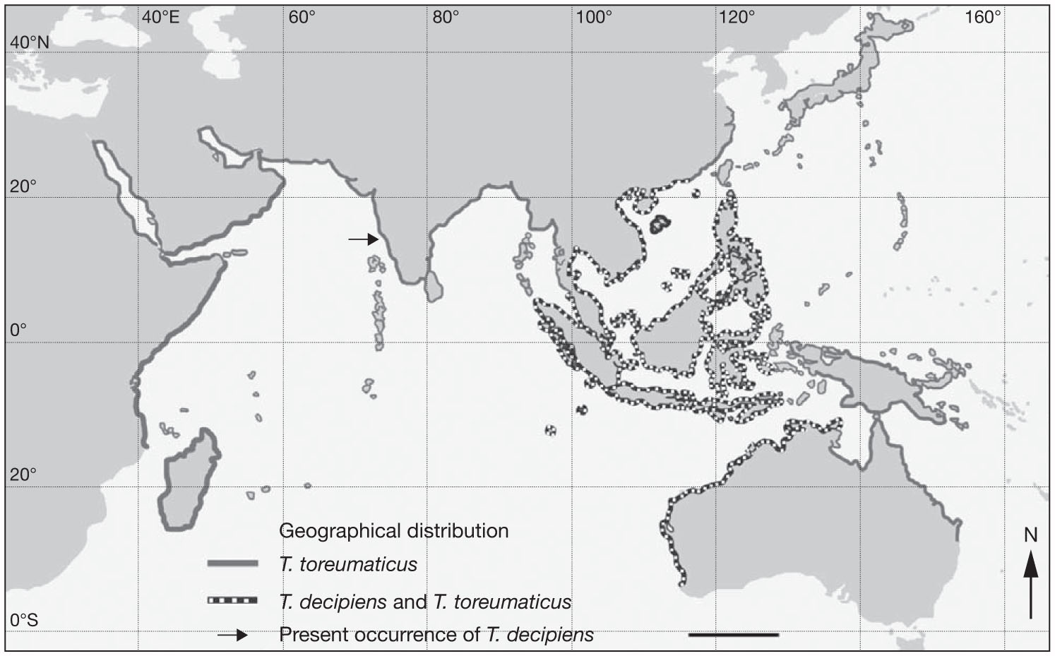 A New Record of Temnopleurus decipiens (de Meijere, 1904) (Echinoidea ...